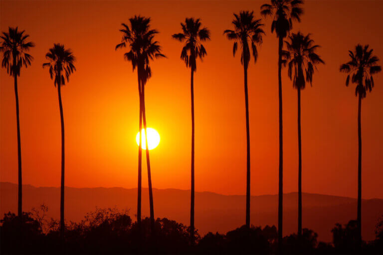 The MOD Institute | Transformative Dental CE in Charleston, SC